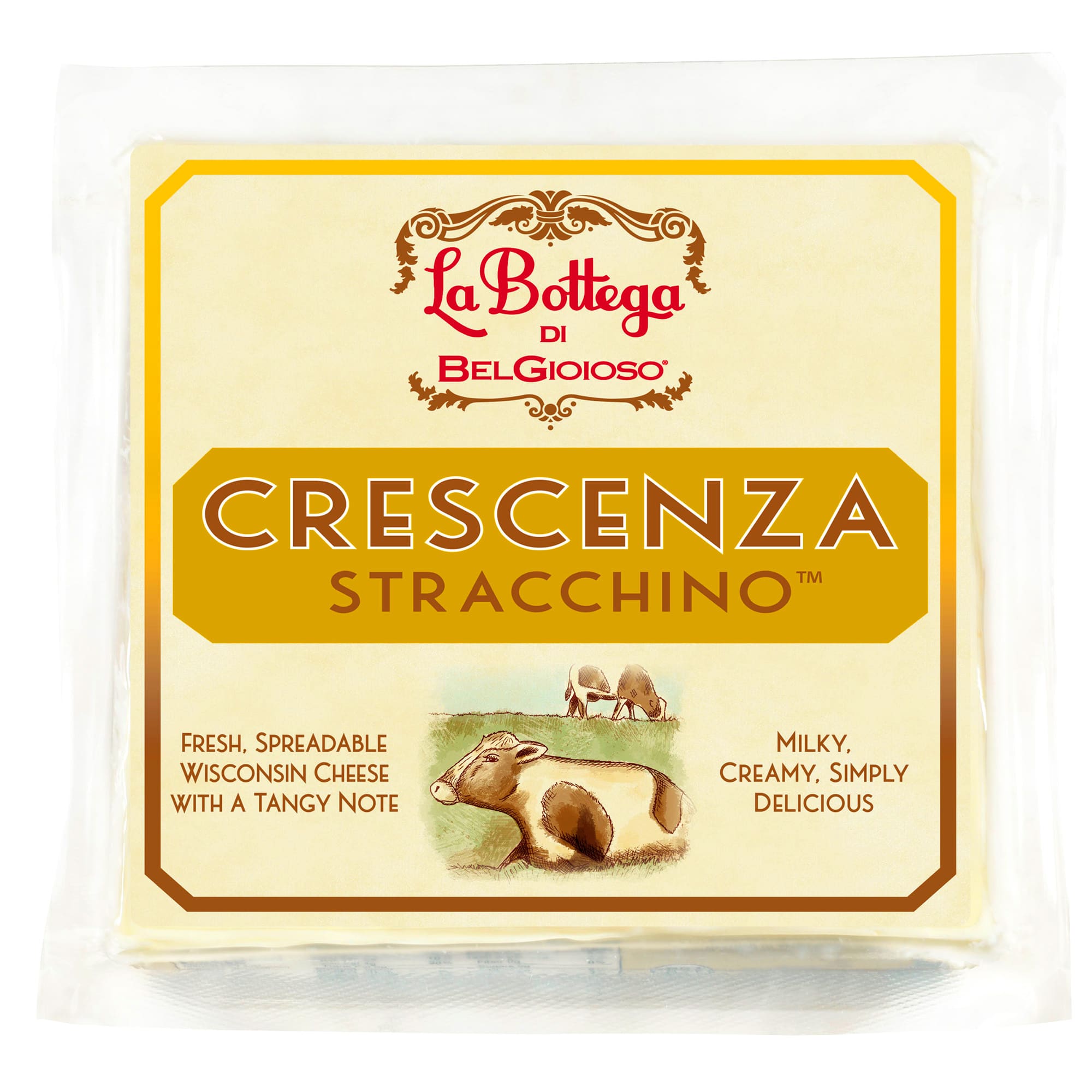 Cheese | Food Related | San Antonito TX